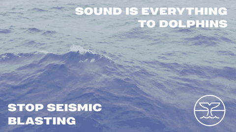 Greenpeace GIF - Find & Share on GIPHY