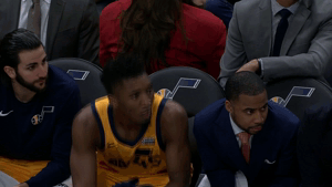 Donovan Mitchell Player Bench GIF by NBA - Find & Share on GIPHY