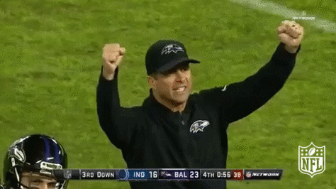 Baltimore Ravens Football GIF by NFL - Find & Share on GIPHY