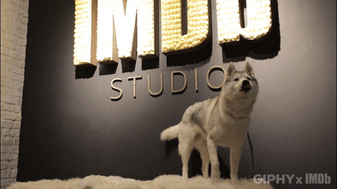 White Fang Dog GIF by IMDb - Find & Share on GIPHY