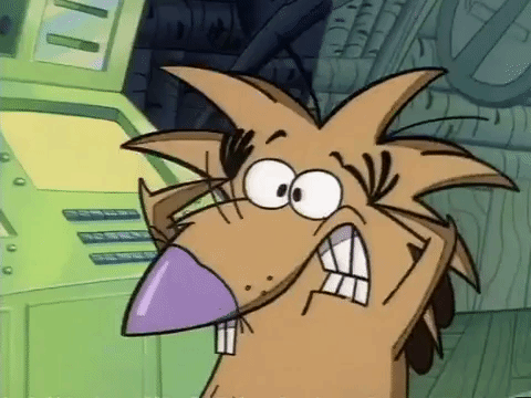Freaking Out Angry Beavers GIF - Find & Share on GIPHY