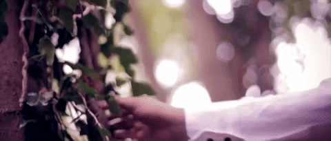 Asmara GIFs - Get the best GIF on GIPHY