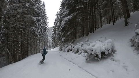 Winter Snowboarding GIF - Find & Share on GIPHY