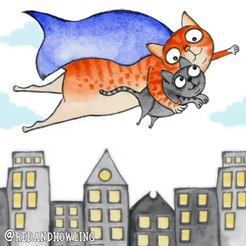 Cat Flying GIF by Red & Howling - Find & Share on GIPHY
