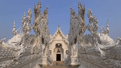 - Find & Share on GIPHY