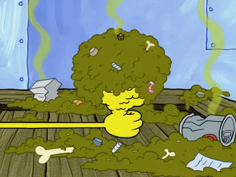 Season 6 The Splinter GIF by SpongeBob SquarePants - Find & Share on GIPHY