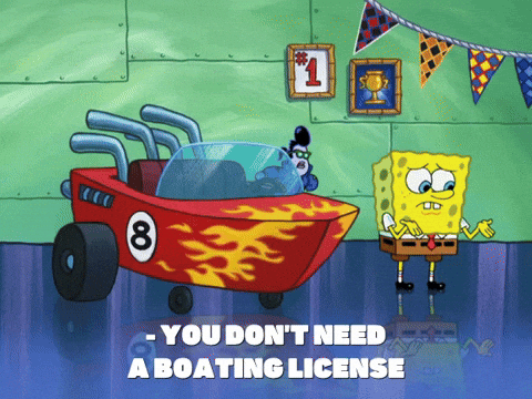 Season 8 GIF by SpongeBob SquarePants - Find & Share on GIPHY