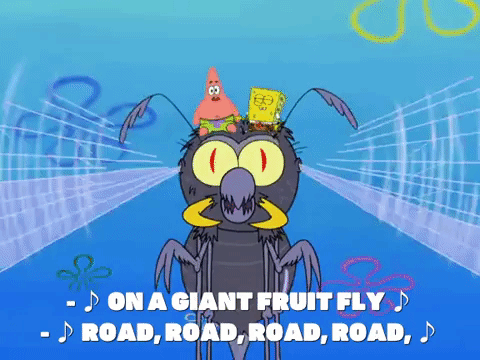 Season 8 Spongebob'S Runaway Roadtrip: A Squarepants Family Vacation ...
