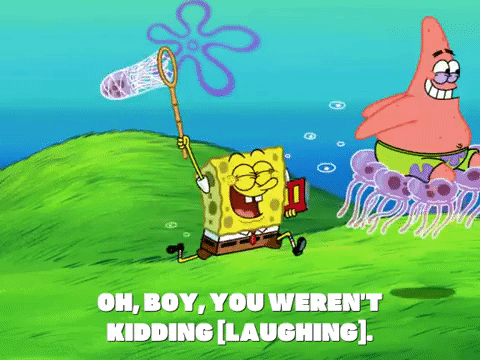 Season 6 Dear Vikings GIF by SpongeBob SquarePants - Find & Share on GIPHY