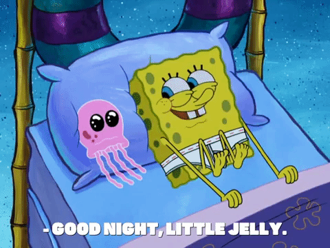 Season 8 GIF by SpongeBob SquarePants - Find & Share on GIPHY