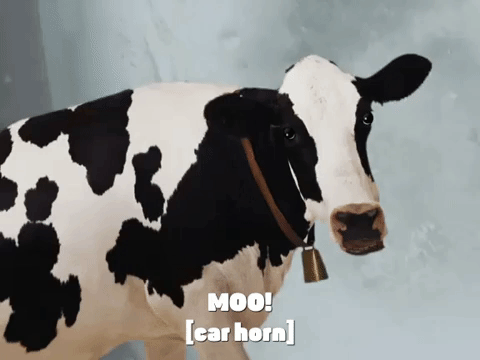 Season 8 Spongebob'S Runaway Roadtrip: A Squarepants Family Vacation ...