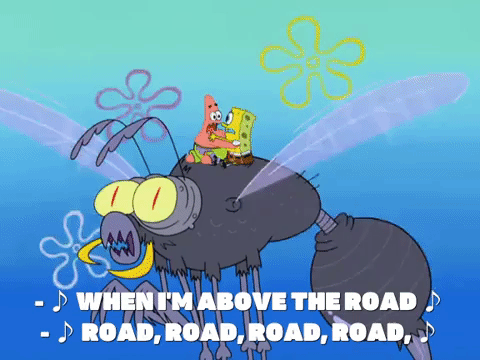 Season 8 Spongebob'S Runaway Roadtrip: A Squarepants Family Vacation ...