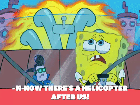 Season 8 GIF by SpongeBob SquarePants - Find & Share on GIPHY