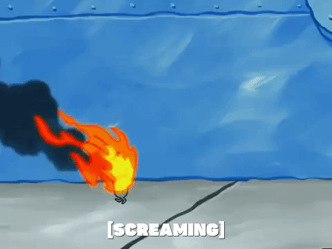 Season 5 GIF by SpongeBob SquarePants - Find & Share on GIPHY