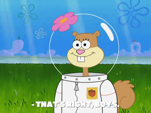 Season 8 Episode 13 GIF by SpongeBob SquarePants - Find & Share on GIPHY