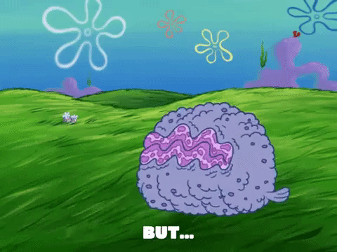 Season 6 Porous Pockets GIF by SpongeBob SquarePants - Find & Share on ...