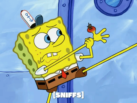 Season 6 The Splinter GIF by SpongeBob SquarePants - Find & Share on GIPHY