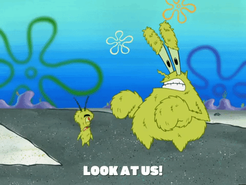 Season 4 GIF by SpongeBob SquarePants - Find & Share on GIPHY