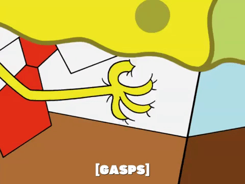 Season 6 The Splinter GIF by SpongeBob SquarePants - Find & Share on GIPHY