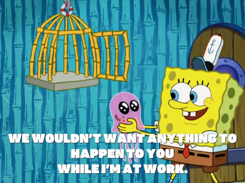 Season 8 GIF by SpongeBob SquarePants - Find & Share on GIPHY