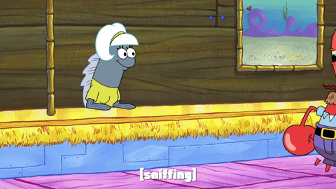 Season 9 Safe Deposit Krabs GIF by SpongeBob SquarePants - Find & Share ...