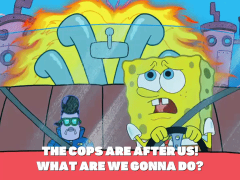 Season 8 GIF by SpongeBob SquarePants - Find & Share on GIPHY