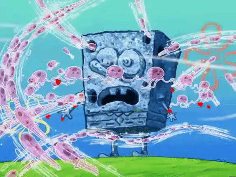 Season 5 The Two Faces Of Squidward GIF by SpongeBob SquarePants - Find ...
