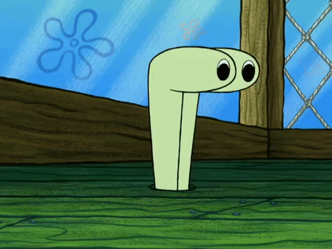 Season 6 Gullible Pants GIF by SpongeBob SquarePants - Find & Share on ...