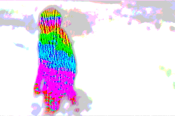 Hang Ten Video Art GIF by J. Robinson - Find & Share on GIPHY