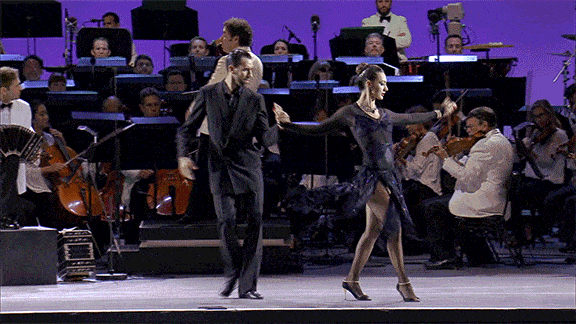 Tango GIF by ThirteenWNET - Find & Share on GIPHY