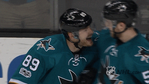 Ice Hockey GIF by NHL - Find & Share on GIPHY