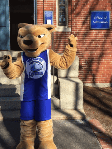 Mascot Dancing GIF by Wheaton College (MA) - Find & Share on GIPHY