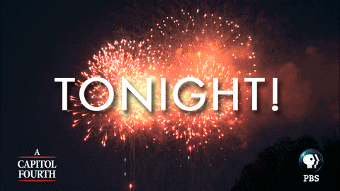 Independence Day Fireworks GIF by PBS - Find & Share on GIPHY