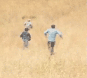 Run Field GIF by Josh Rigling - Find & Share on GIPHY