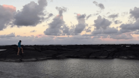 Beach Ocean GIF by Quote Catalog - Find & Share on GIPHY
