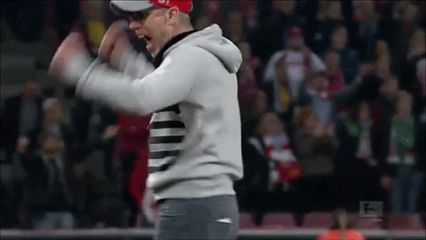 Fc Cologne GIF by 1. FC Köln - Find & Share on GIPHY
