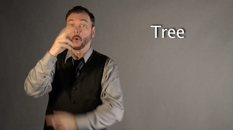 Sign Language Tree GIF by Sign with Robert - Find & Share on GIPHY