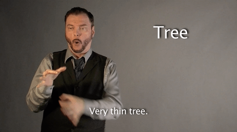 Sign Language Tree GIF by Sign with Robert - Find & Share on GIPHY