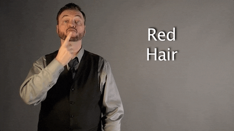 Red Hair Asl GIF by Sign with Robert - Find & Share on GIPHY