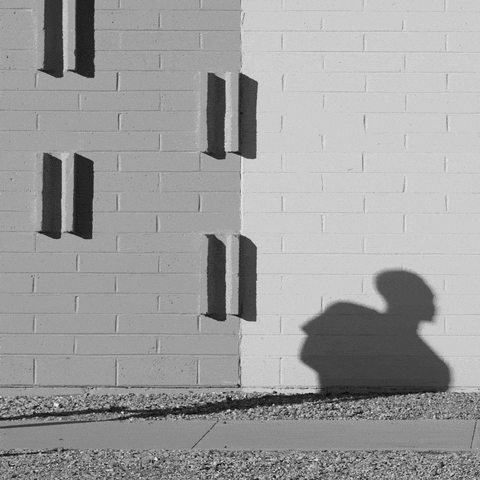 Andre De Grasse Running GIF by PUMA - Find & Share on GIPHY