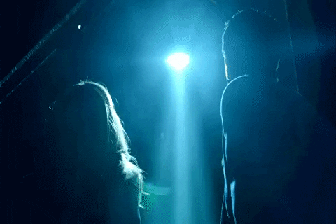 Fox Tv GIF by The X-Files - Find & Share on GIPHY