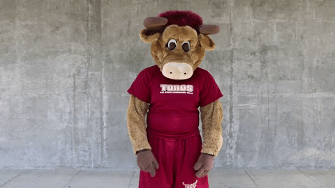 Csudh Wow GIF by CSUDHTeddyToro - Find & Share on GIPHY