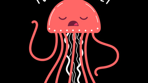 Top 5 des jeux de cartes à faire avec une méduse, pour s’amuser sans ...