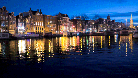 Lights Amsterdam GIF by Living Stills - Find & Share on GIPHY
