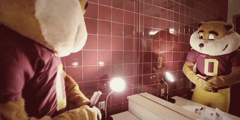 University Of Minnesota Hair GIF by Minnesota Gophers - Find & Share on ...