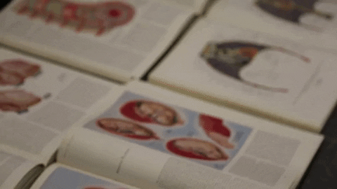 Anatomy Medical Expressionism GIF by Alex Boya - Find & Share on GIPHY