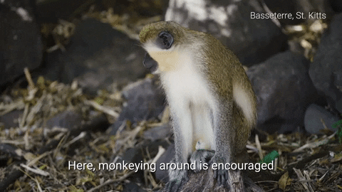 Get Together Friends Gif By Celebrity Cruises Gif - Find & Share on GIPHY