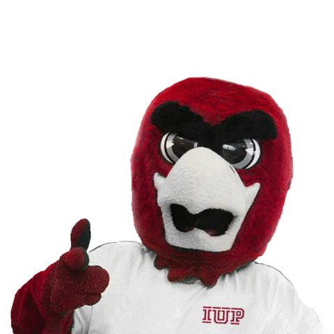 Iup Sticker by Indiana University of Pennsylvania for iOS & Android | GIPHY