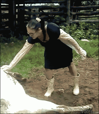 Gif De Patadas Patada Voladora GIFs Find & Share On GIPHY