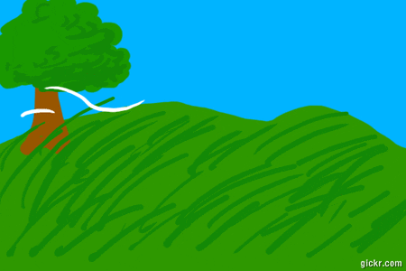 Landscape GIF - Find & Share on GIPHY